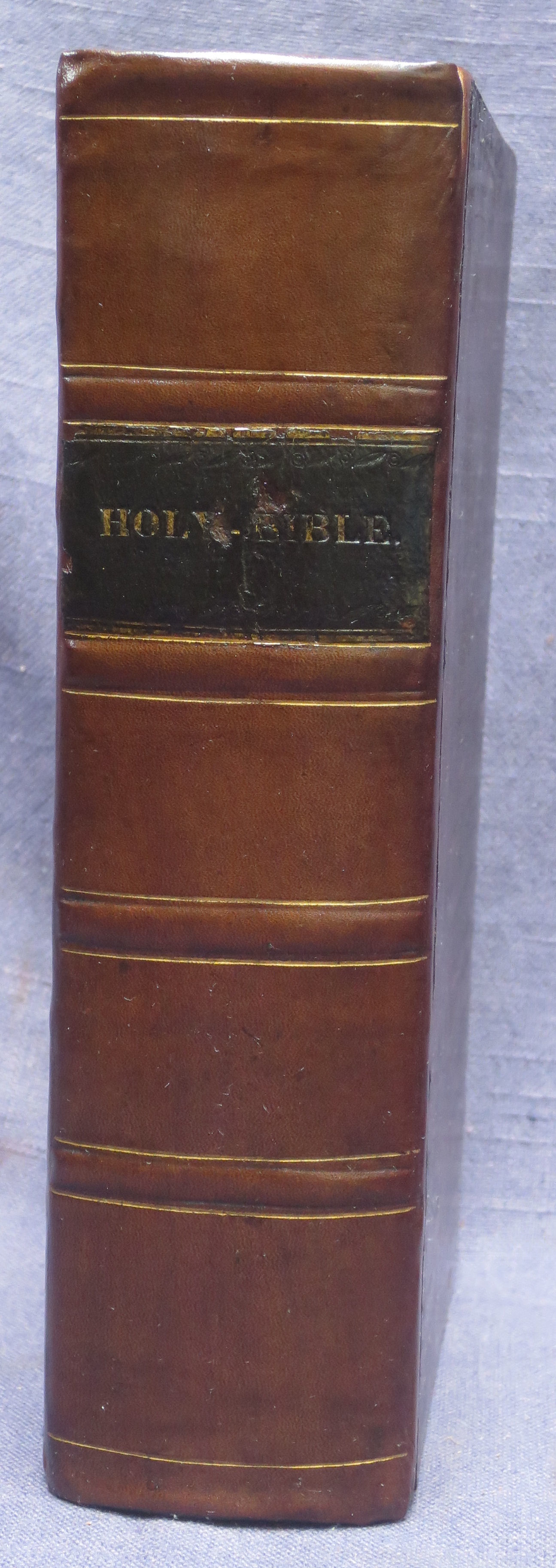 untitled [davidclachman.com]